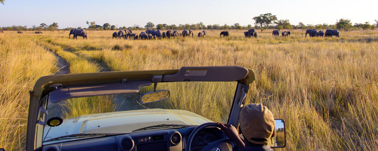 Bande de Caprivi - Safaris à la carte