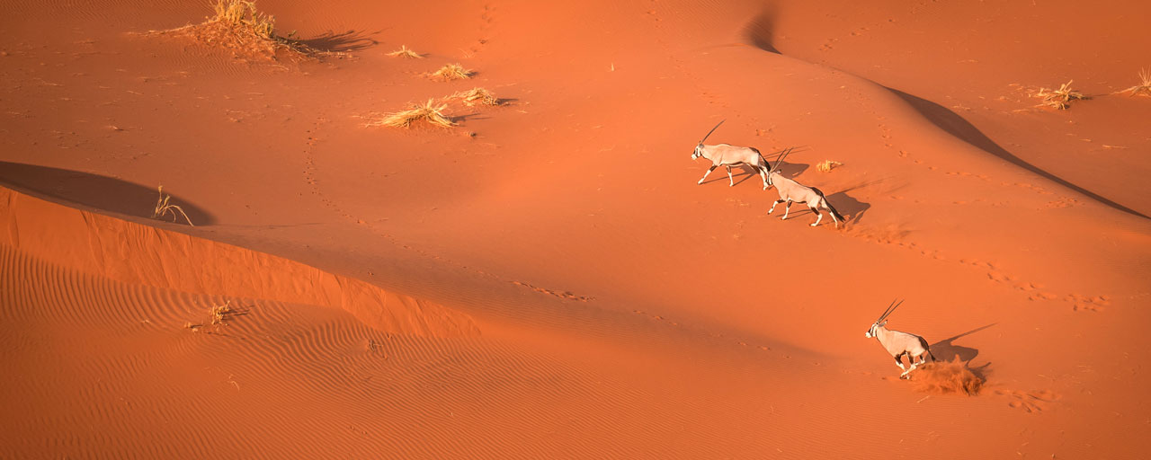 Safari aérien en Namibie - Safaris à la carte