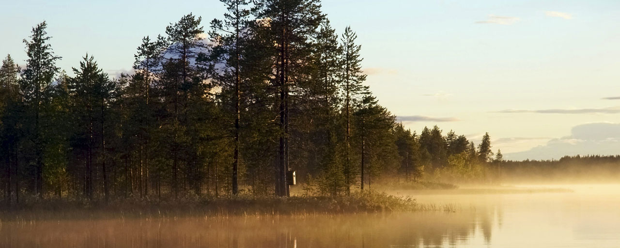 Guide de voyage en Finlande - voyage animalier, circuit et séjour en ...